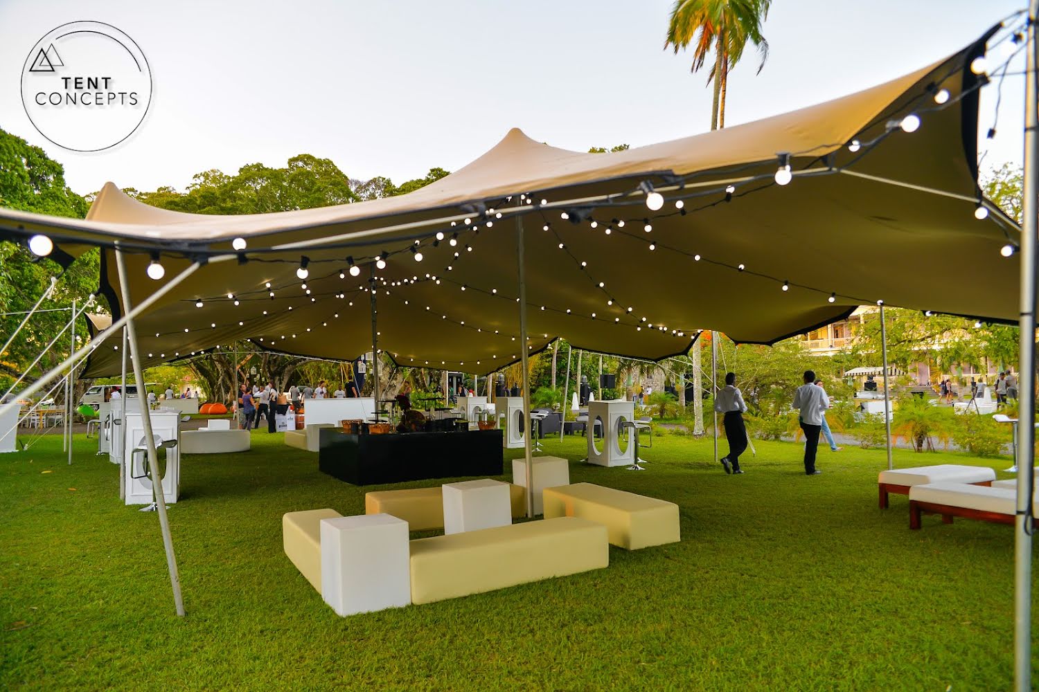 Chairs + Tables + Tents - Nyom Planet